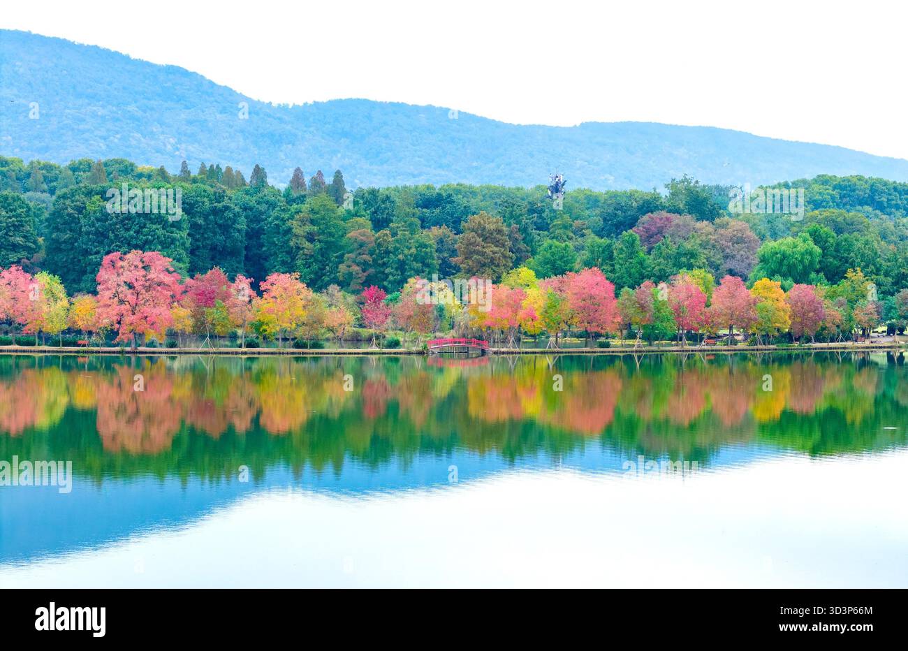 Autumn scenery of a botanical garden in Nanjing City, east China's ...