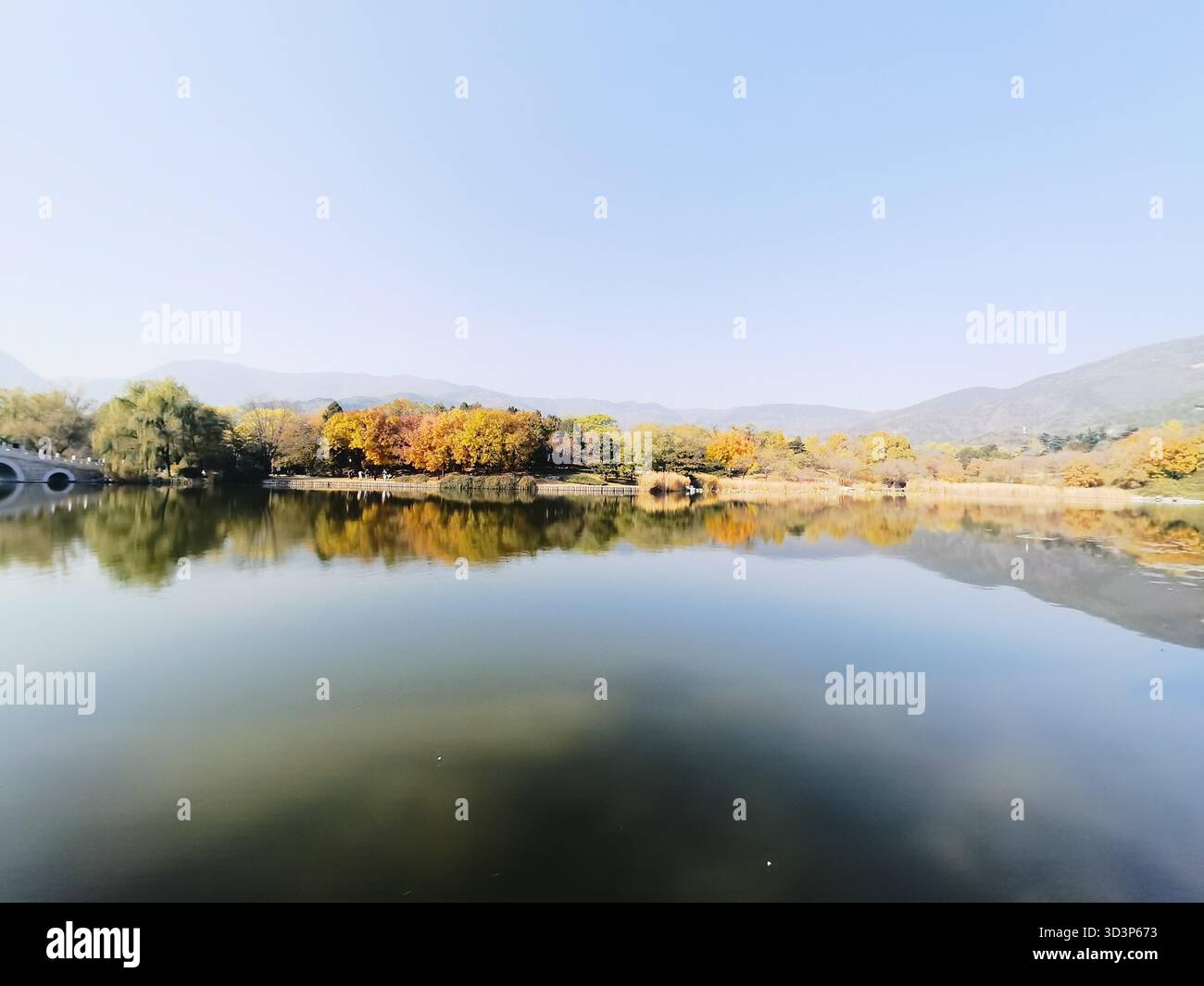 Autumn scenery of the China National Botanical Garden in Beijing, China ...