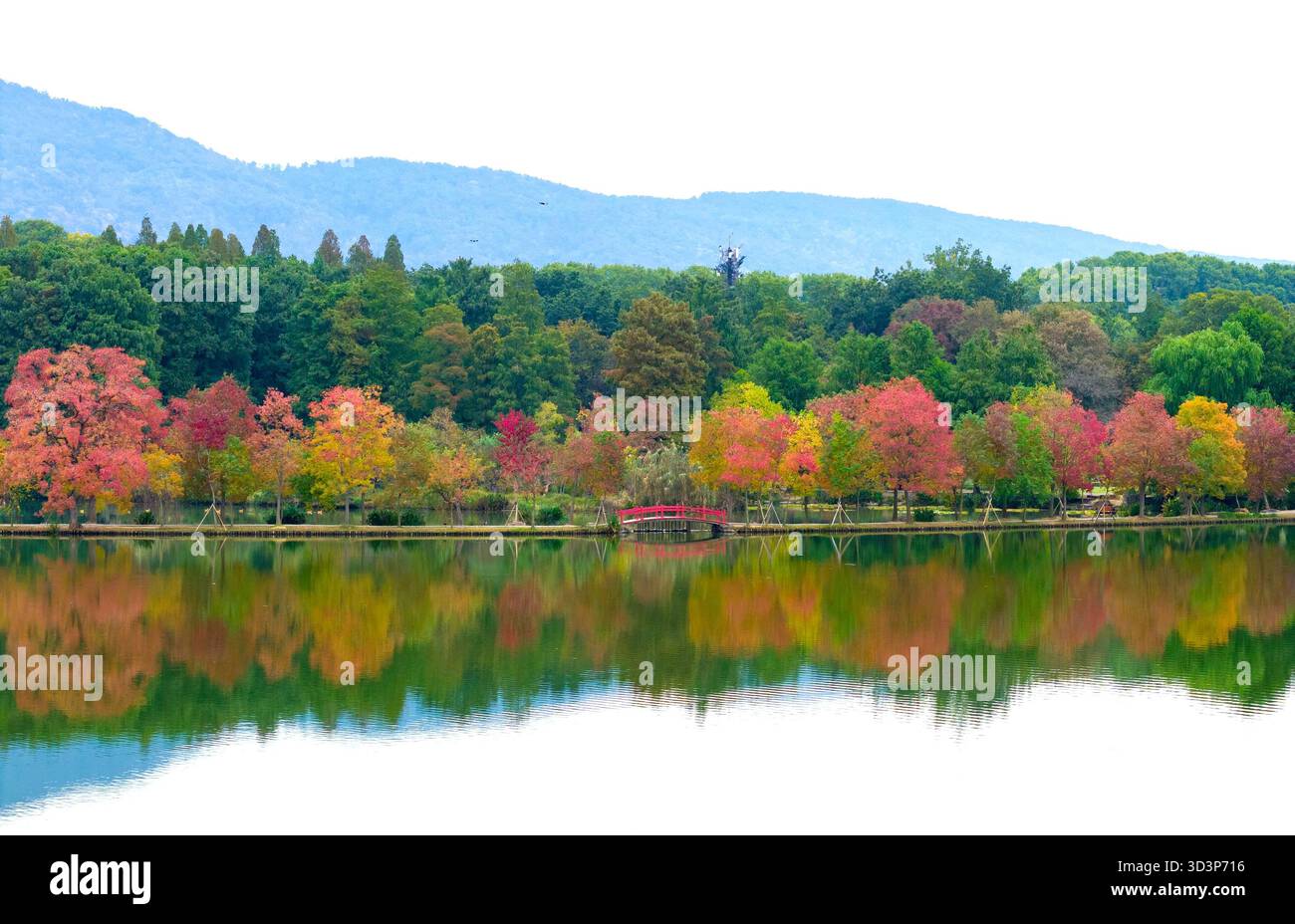 Autumn scenery of a botanical garden in Nanjing City, east China's ...