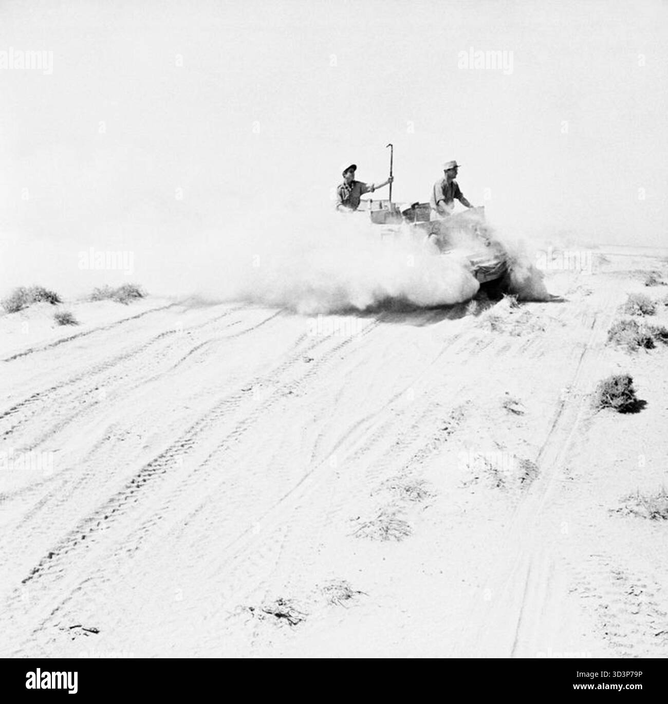 Allied Forces in North Africa 1942 Free French Foreign Legionnaires ...