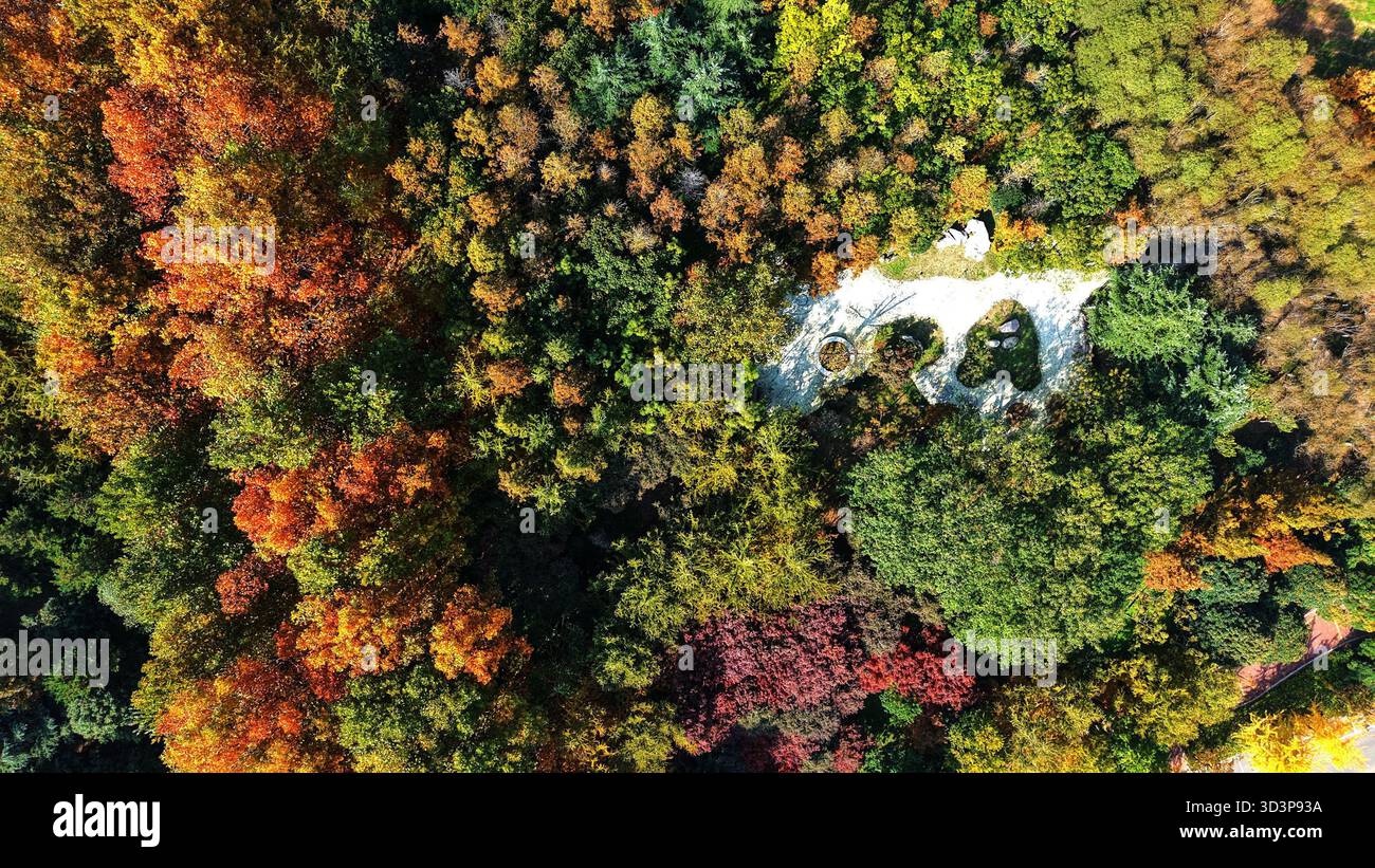 Aerial photo shows the autumn scenery of Shandong University of Science ...