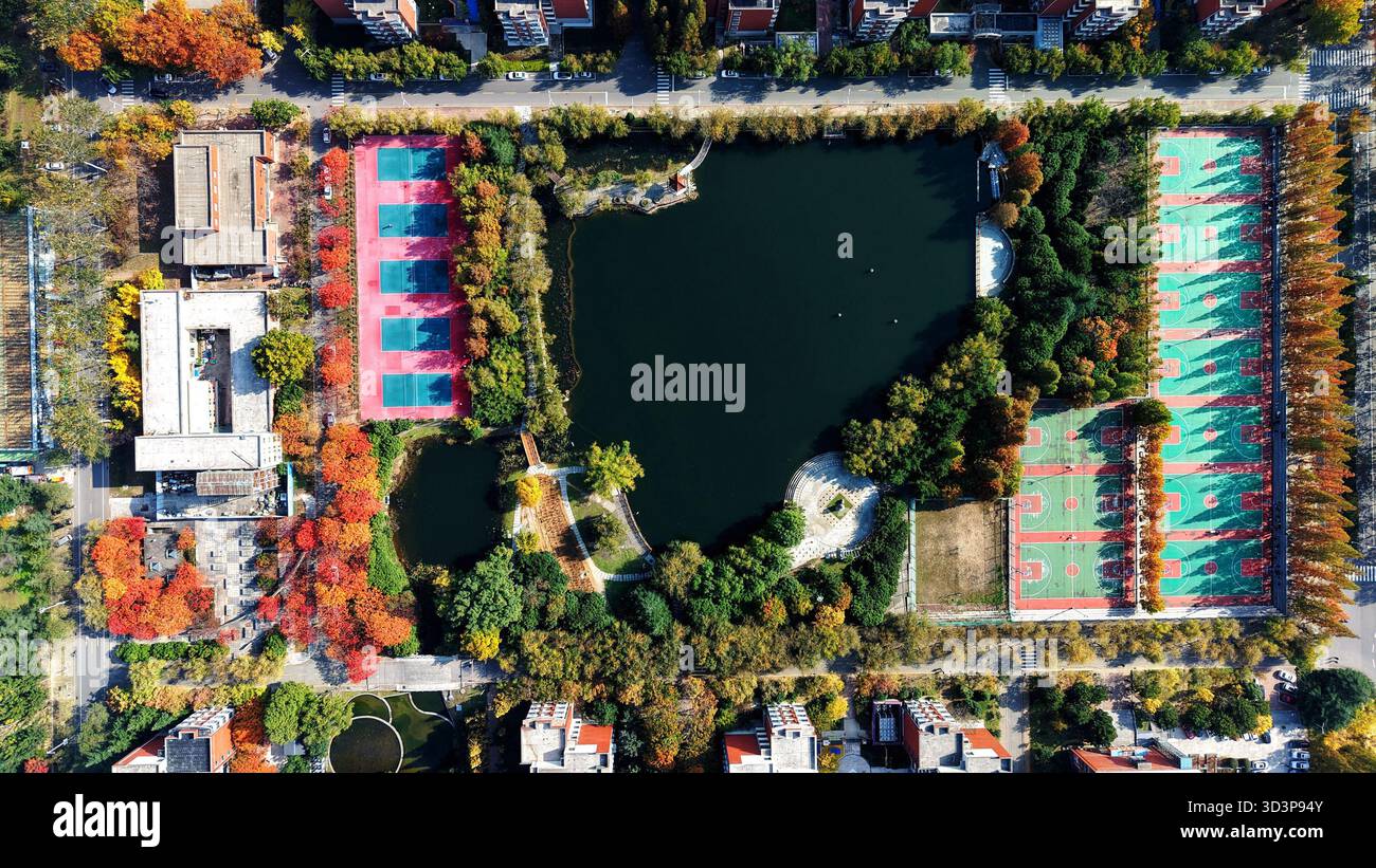 Aerial photo shows the autumn scenery of Shandong University of Science ...
