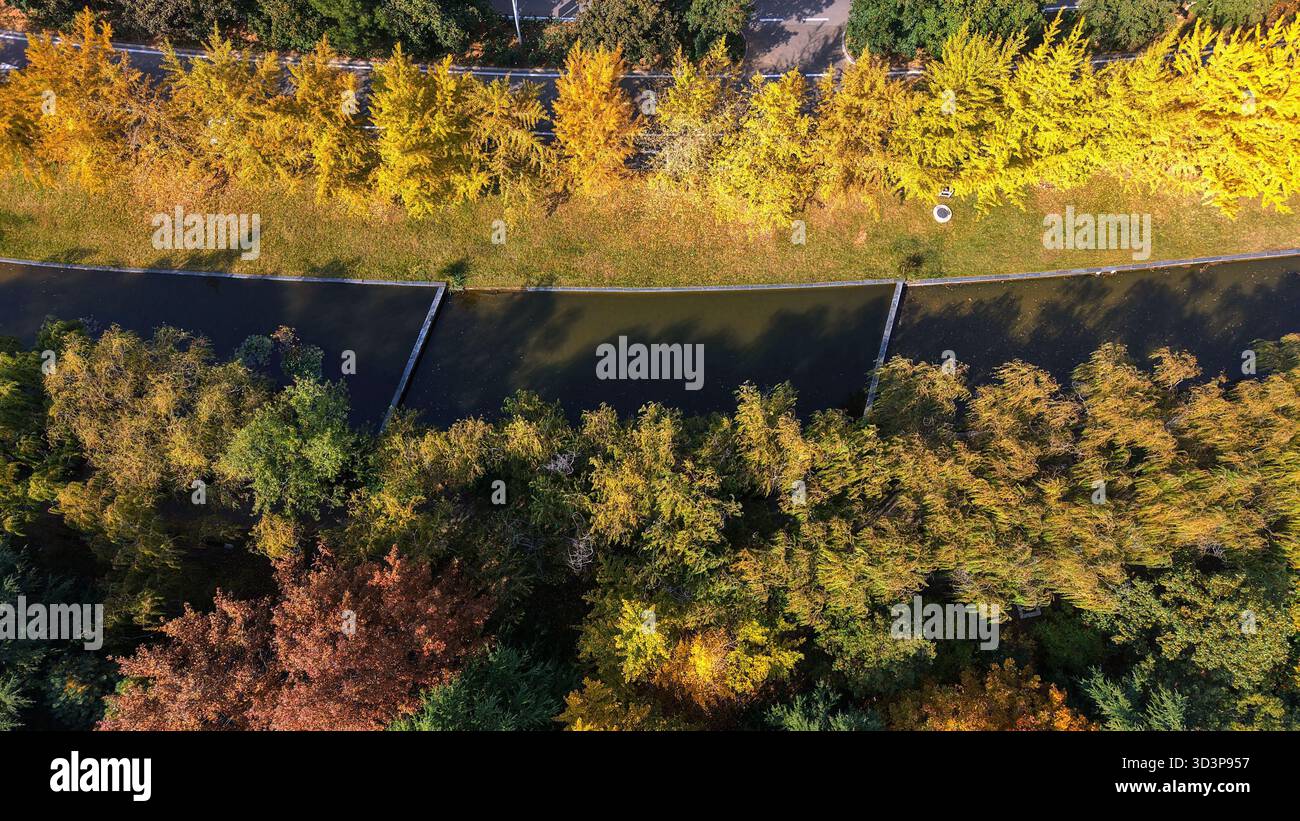 Aerial photo shows the autumn scenery of Shandong University of Science ...