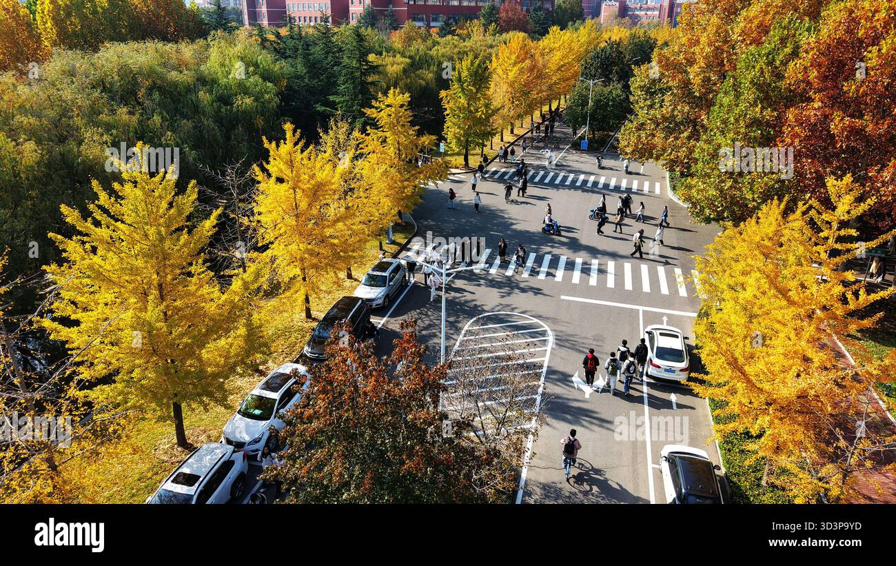 Aerial photo shows the autumn scenery of Shandong University of Science ...