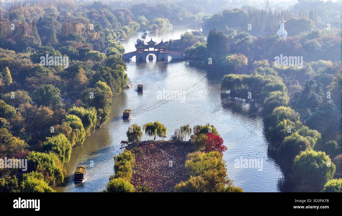 Chrysanthemum flowers are in full bloom at Slender West Lake scenic ...