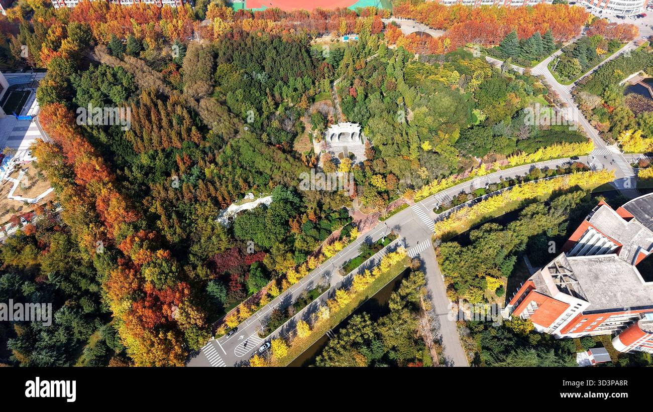 Aerial photo shows the autumn scenery of Shandong University of Science ...