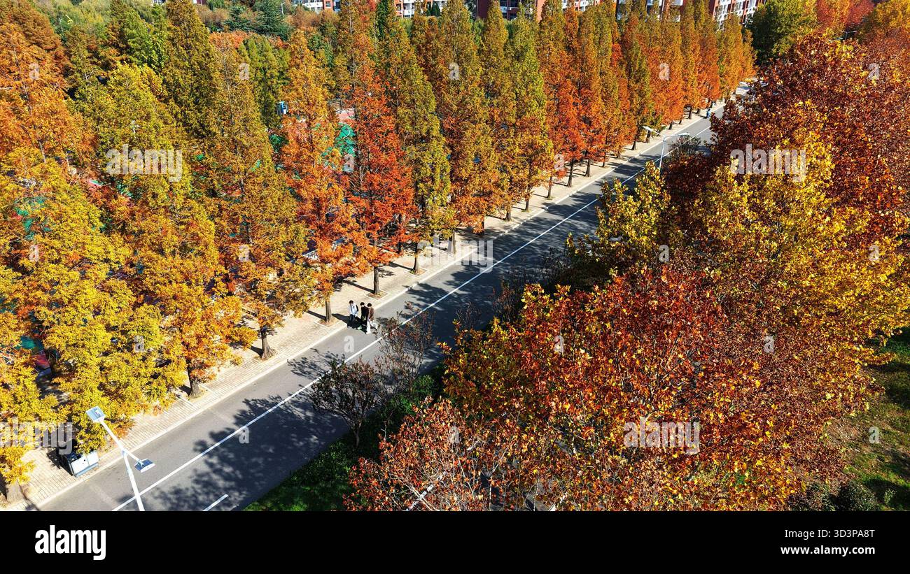 Aerial photo shows the autumn scenery of Shandong University of Science ...