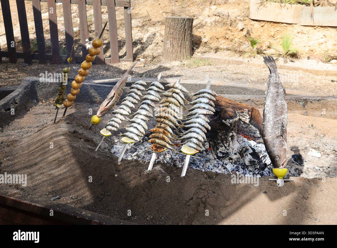 Grilled sardines on espeto method on wood fire on the beach in Spain ...