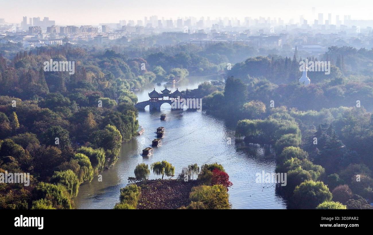 Chrysanthemum flowers are in full bloom at Slender West Lake scenic ...