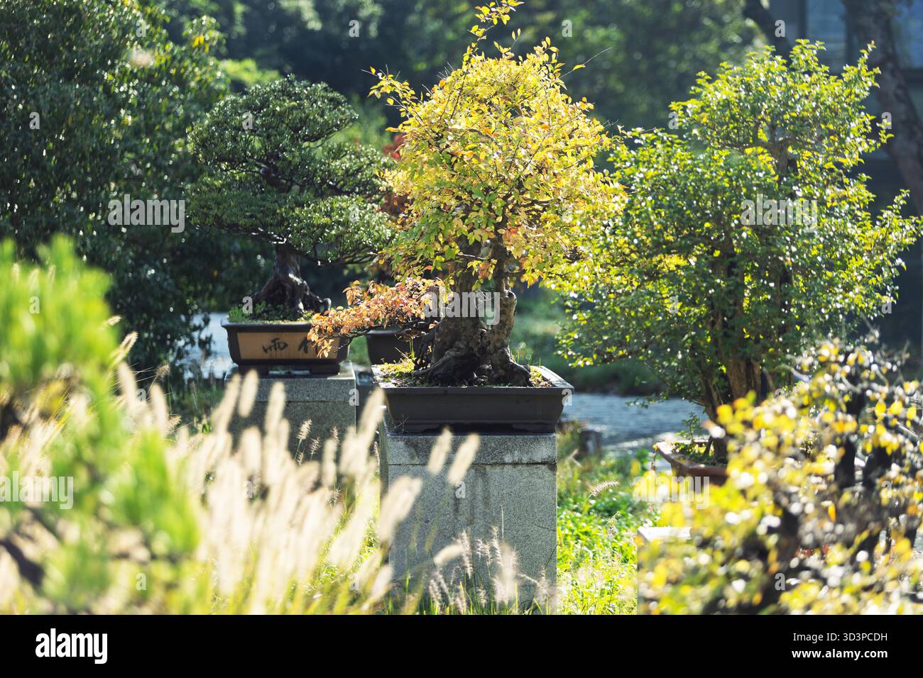 Autumn scenery at the Yuhuatai scenic area in Nanjing City, east China ...