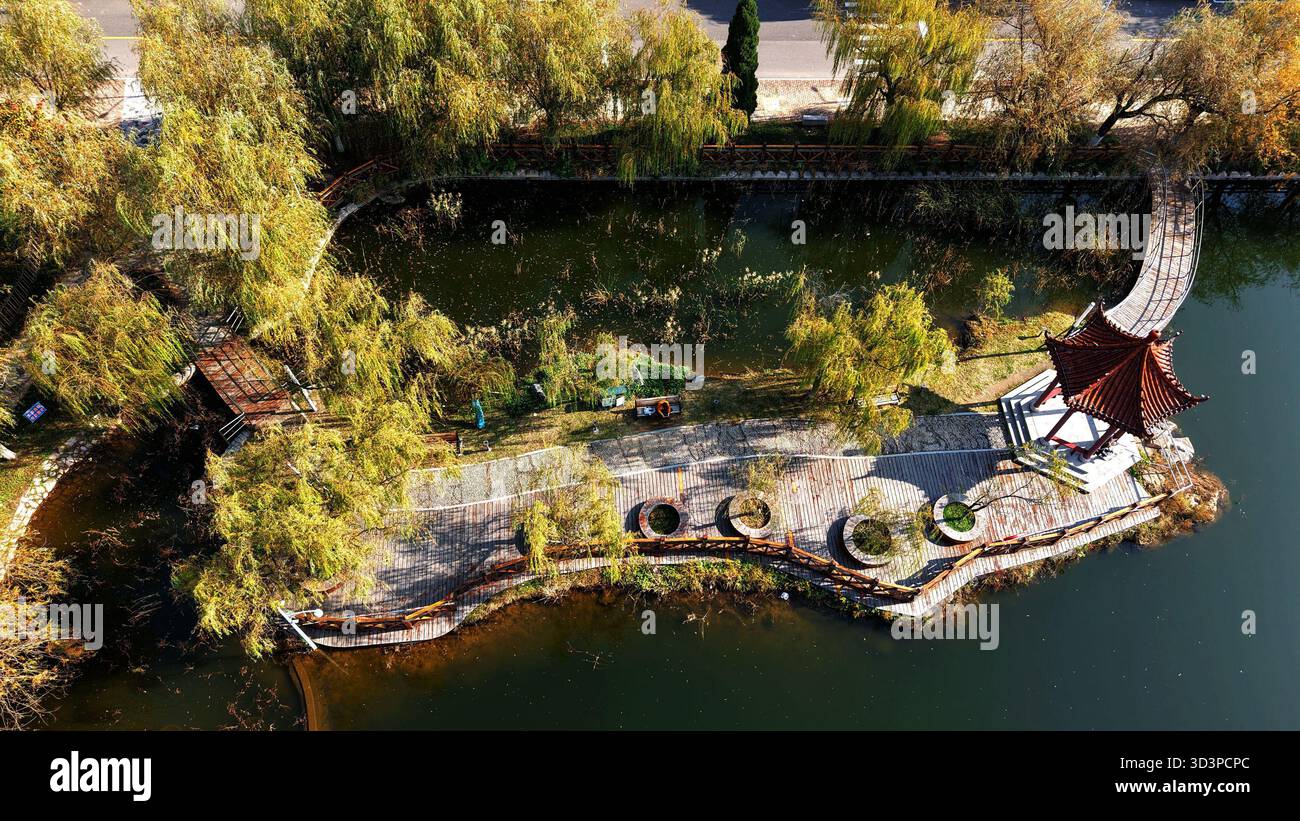 Aerial photo shows the autumn scenery of Shandong University of Science ...