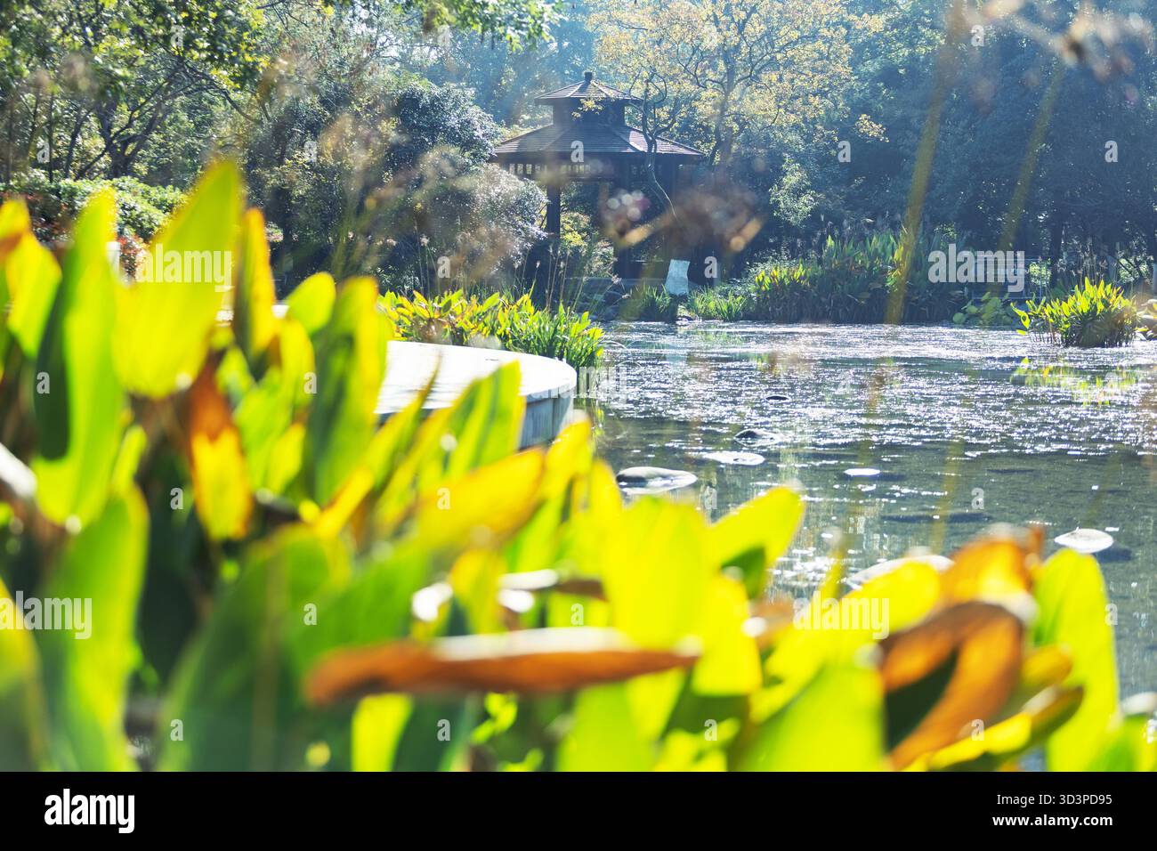 Autumn scenery at the Yuhuatai scenic area in Nanjing City, east China ...