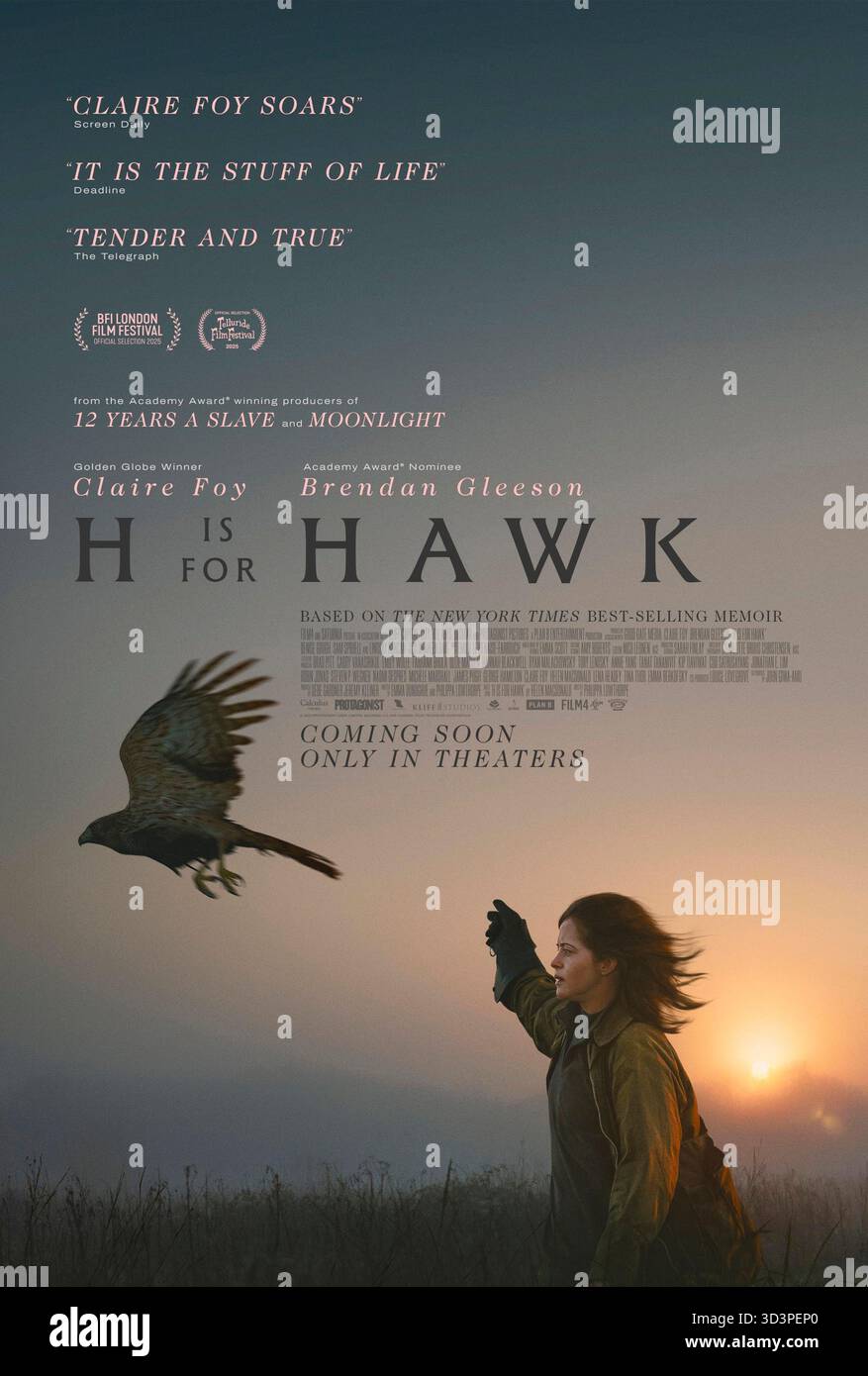 H Is for Hawk (2025) directed by Philippa Lowthorpe and starring ...
