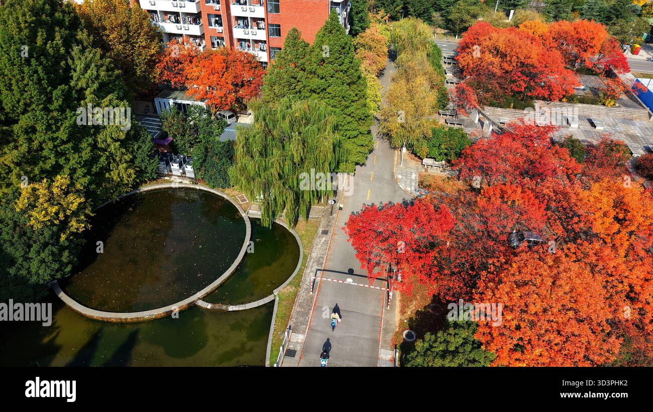 Aerial photo shows the autumn scenery of Shandong University of Science ...