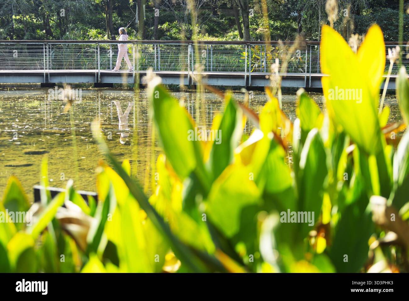 Autumn scenery at the Yuhuatai scenic area in Nanjing City, east China's Jiangsu Province, 5 ...