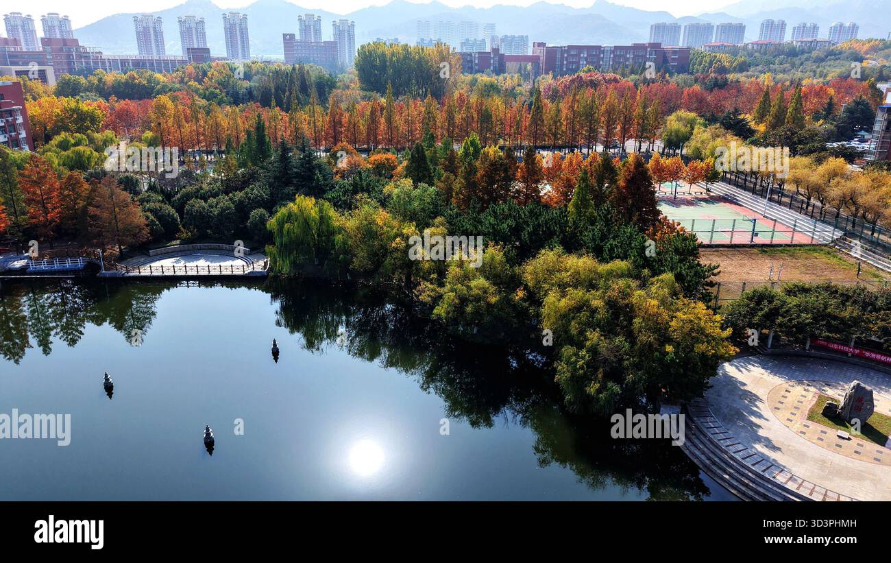 Aerial photo shows the autumn scenery of Shandong University of Science ...