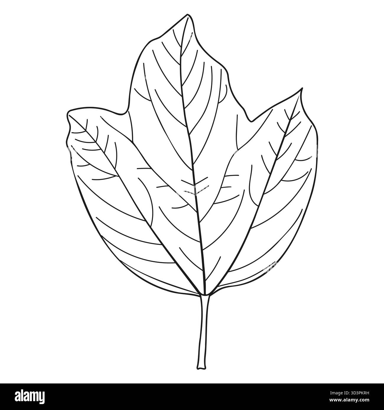Maple tree leaf book Cut Out Stock Images & Pictures - Alamy