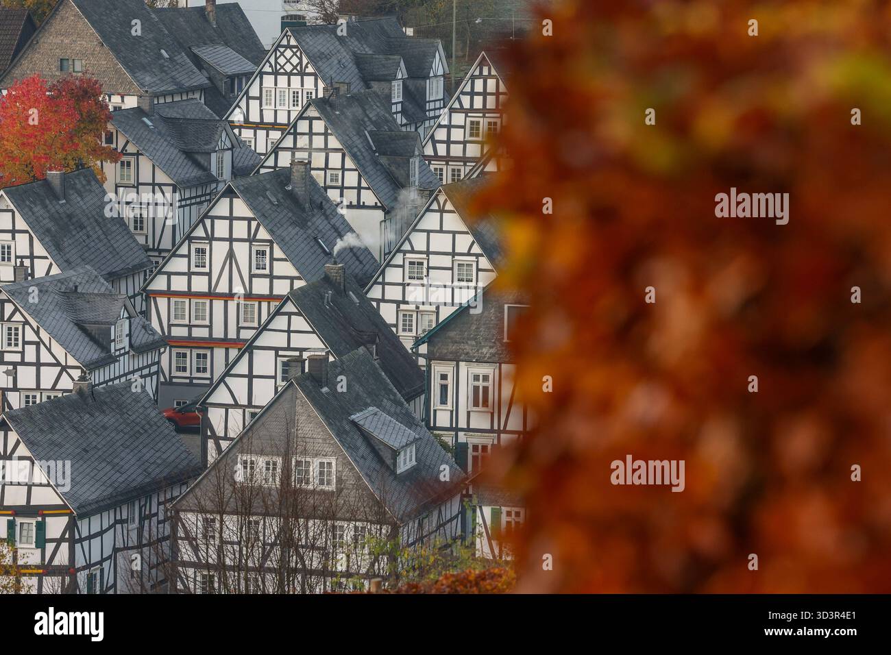 Ein kalter Herbstmorgen im Siegerland. Blick aus dem Kurpark auf die ...