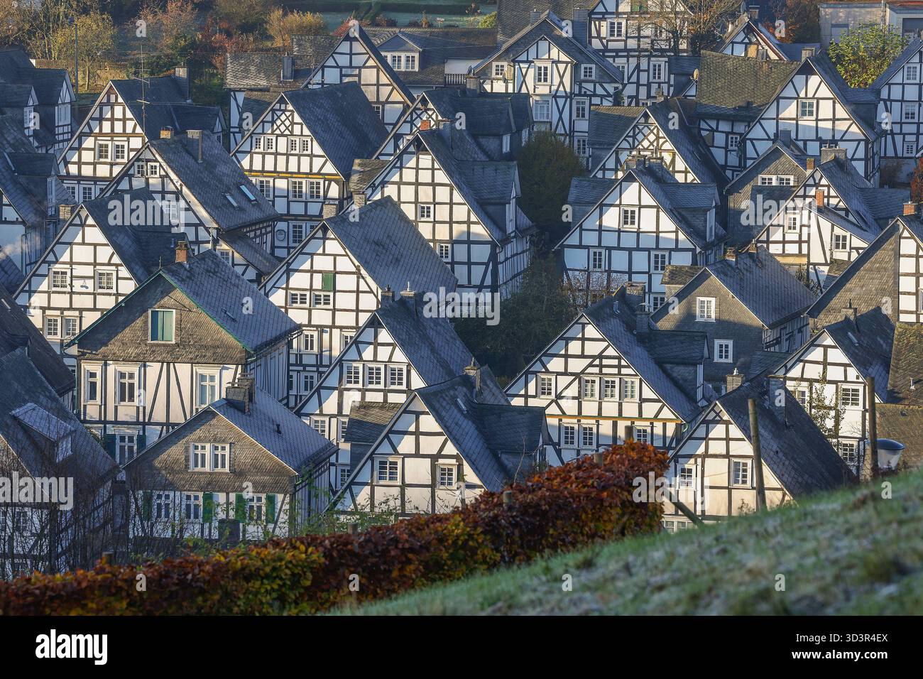 Ein kalter Herbstmorgen im Siegerland. Blick aus dem Kurpark auf die ...