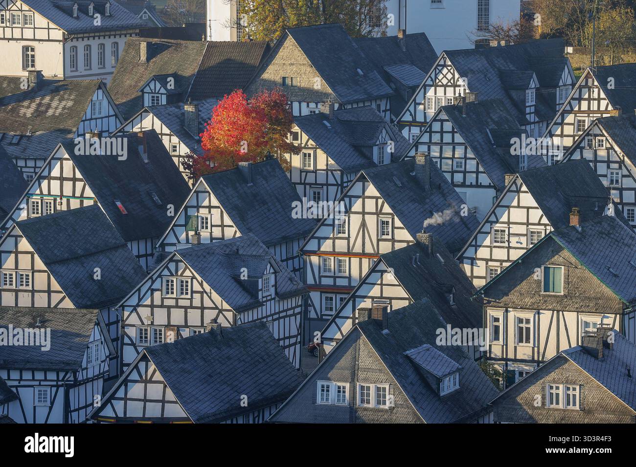 Ein kalter Herbstmorgen im Siegerland. Blick aus dem Kurpark auf die ...
