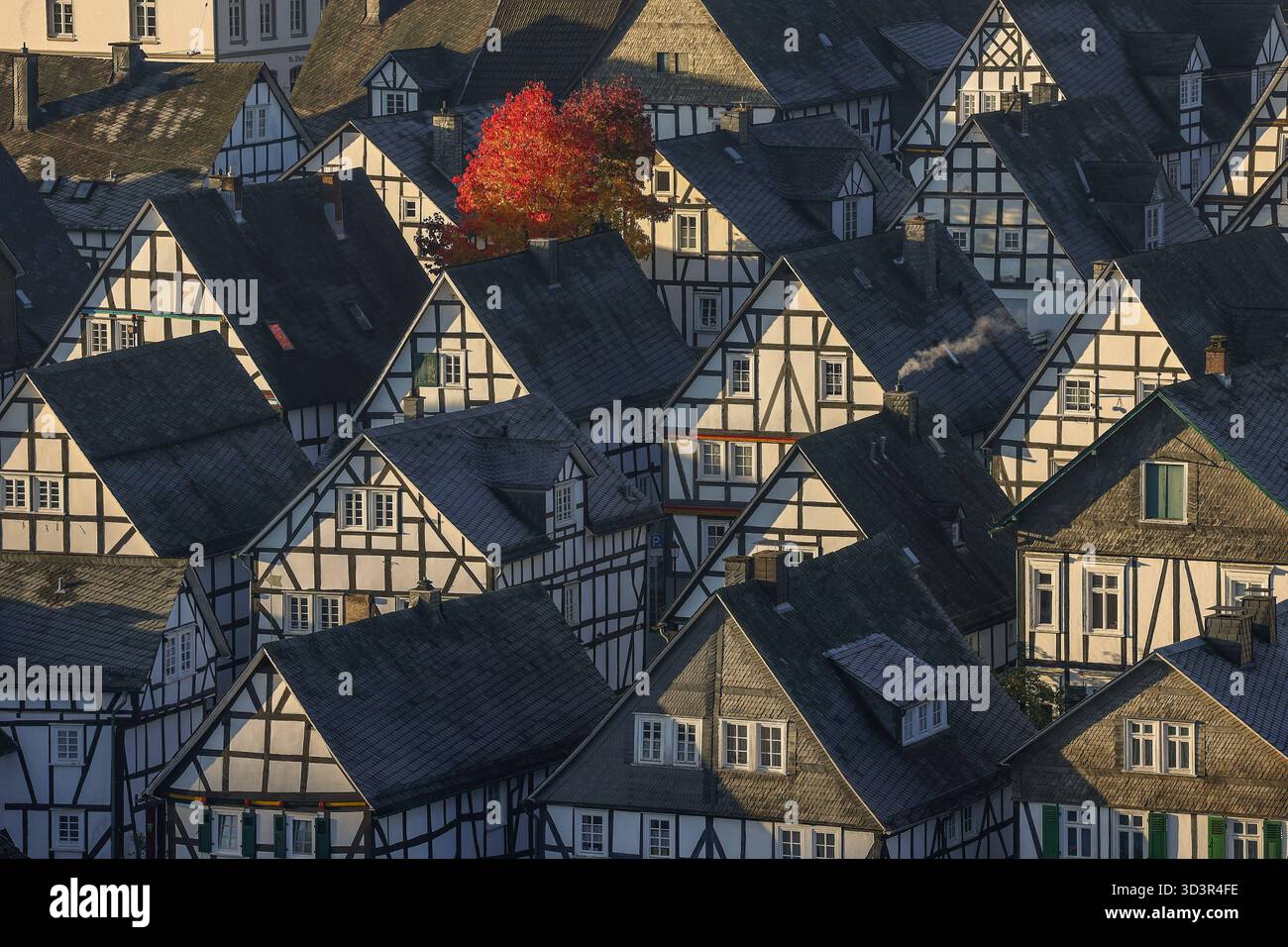 Ein kalter Herbstmorgen im Siegerland. Blick aus dem Kurpark auf die ...