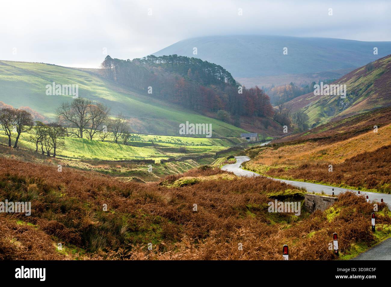 Dunsop Bridge, Clitheroe, Lancashire, UK. 7th November, 2025. The ...