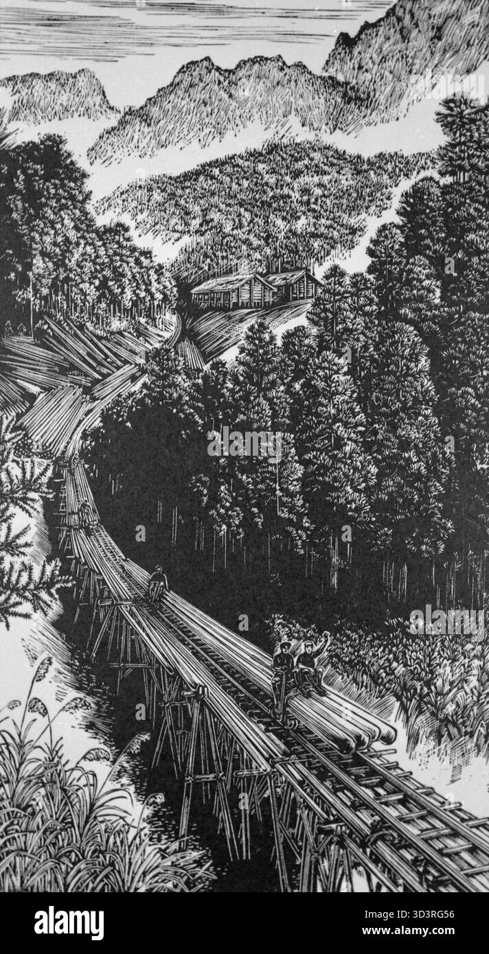 In the Forest, woodcut artwork by Chinese artist Huang Chao-chang ...