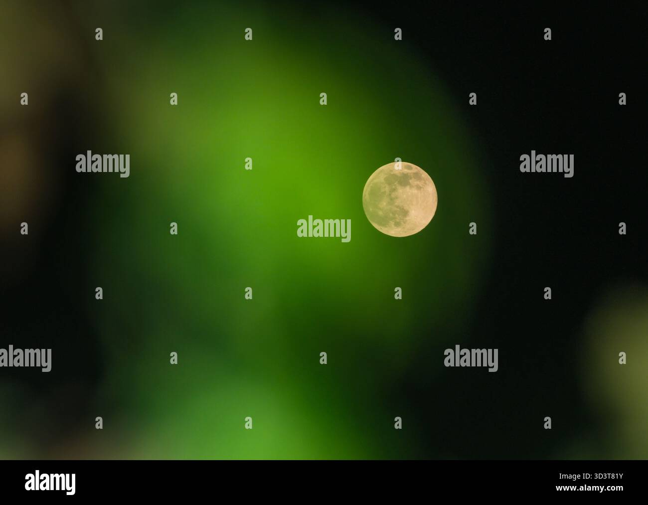 The November full moon, known as the Beaver Moon, is the largest and ...