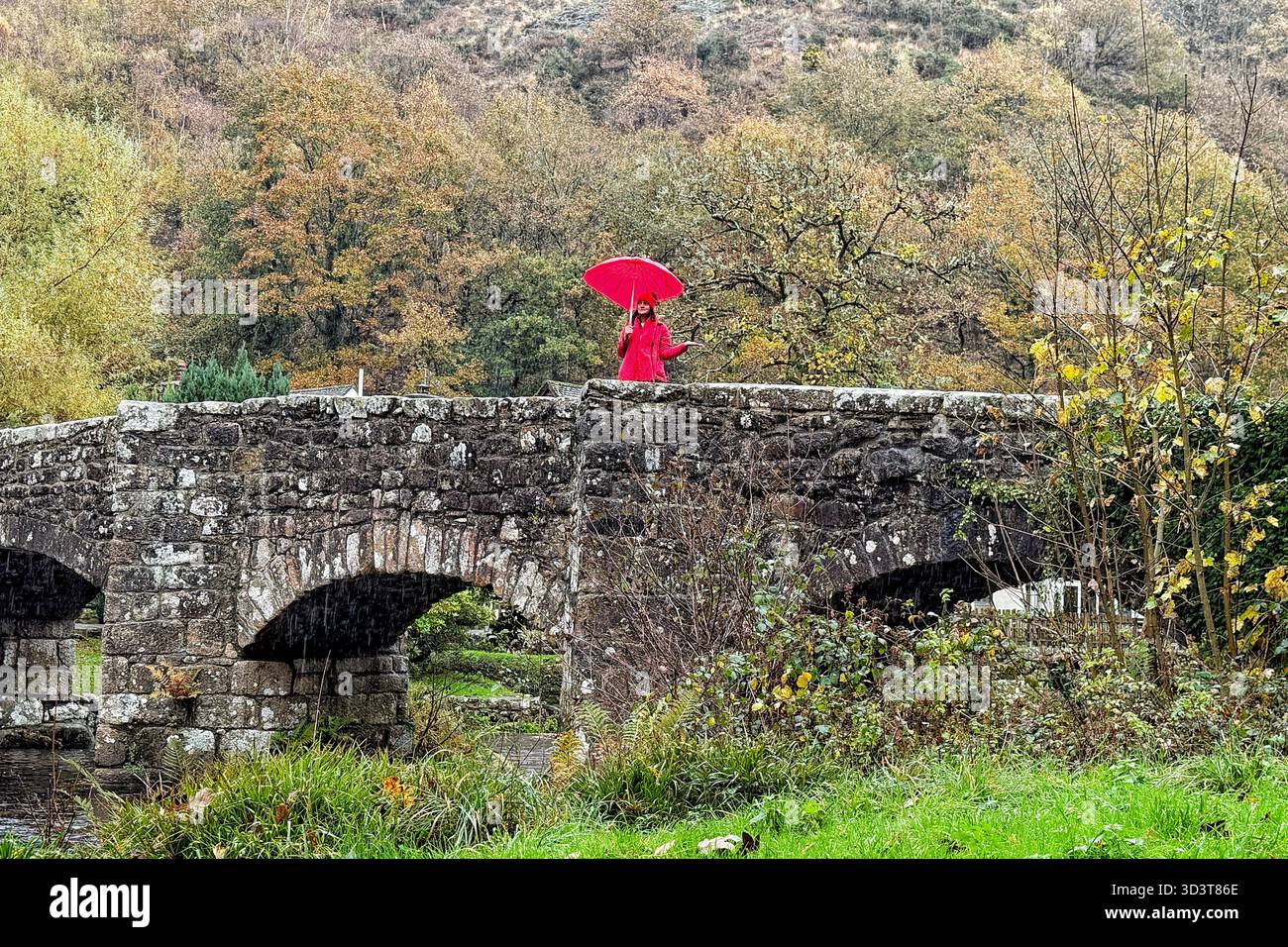 Fingle Bridge, Dartmoor, Devon, UK. 7th November, 2025. UK Weather ...