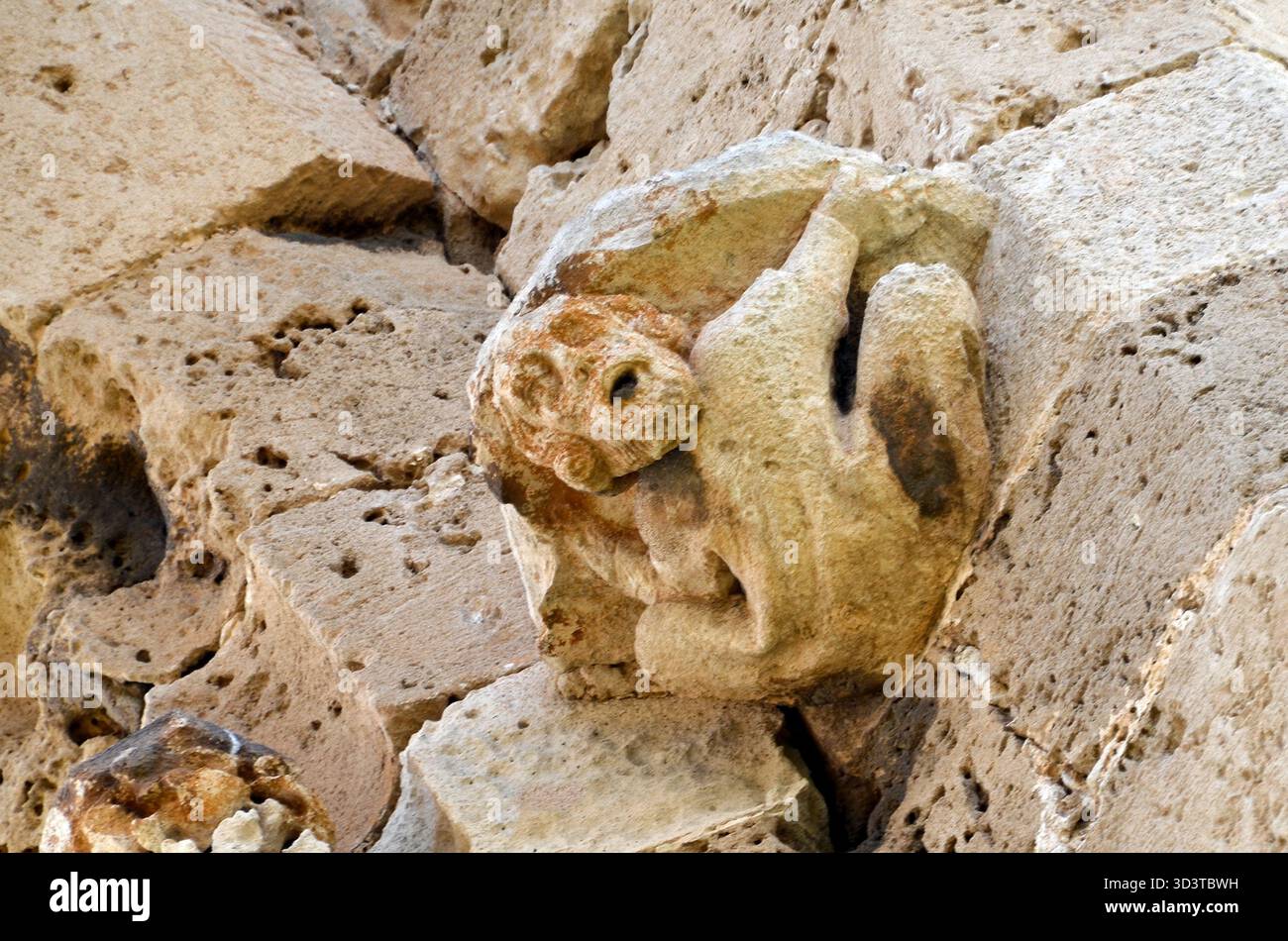 Highly detailed, weathered stone corbel carving showing a grotesque ...
