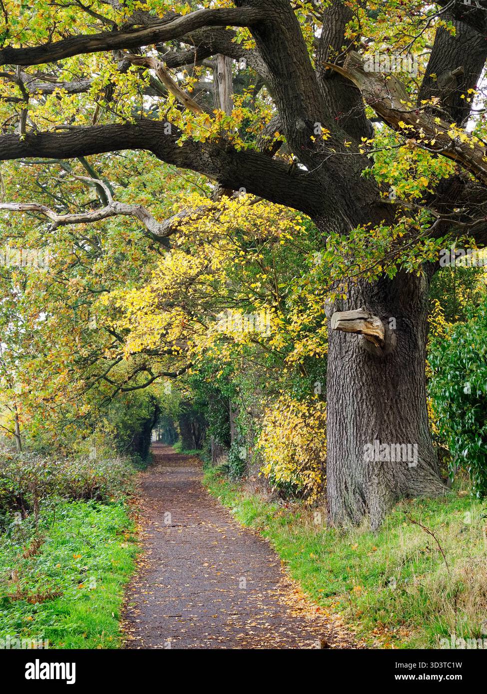 Route 636 hi-res stock photography and images - Alamy