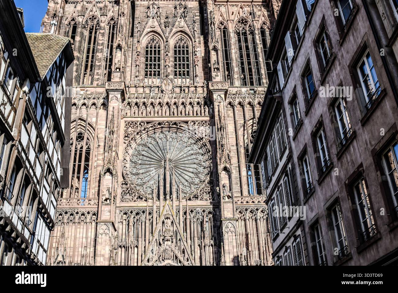 Blick auf das Strassburger Muenster, Wahrzeichen der Stadt. *** View of ...