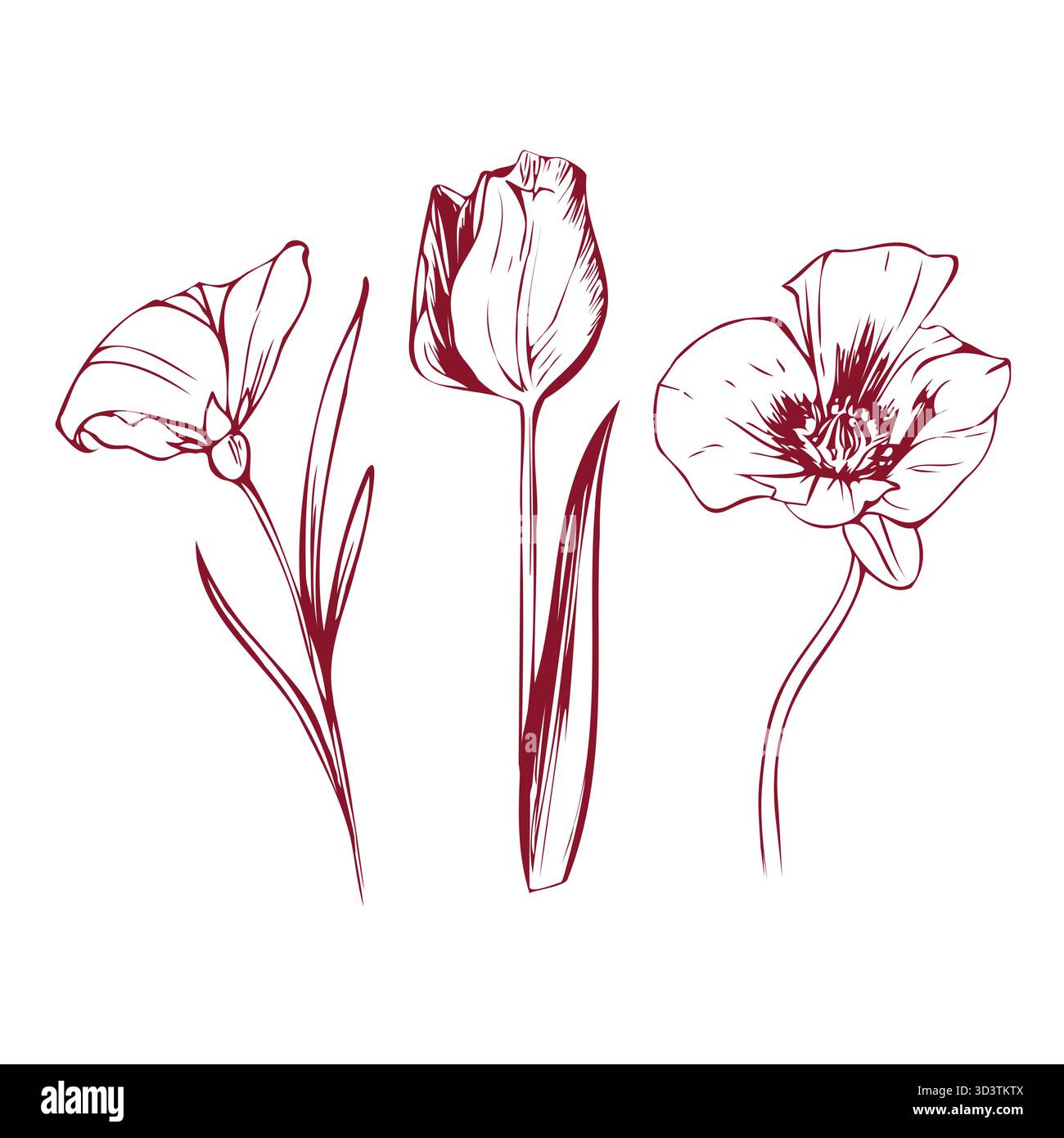 Set red hibiscus flowers hi-res stock photography and images - Alamy