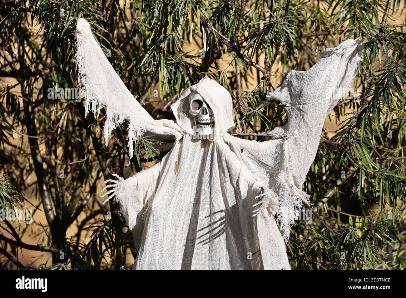 Halloween 06.11.2025, Erfurt, Dekoration zu Halloween, hier der Tod in ...