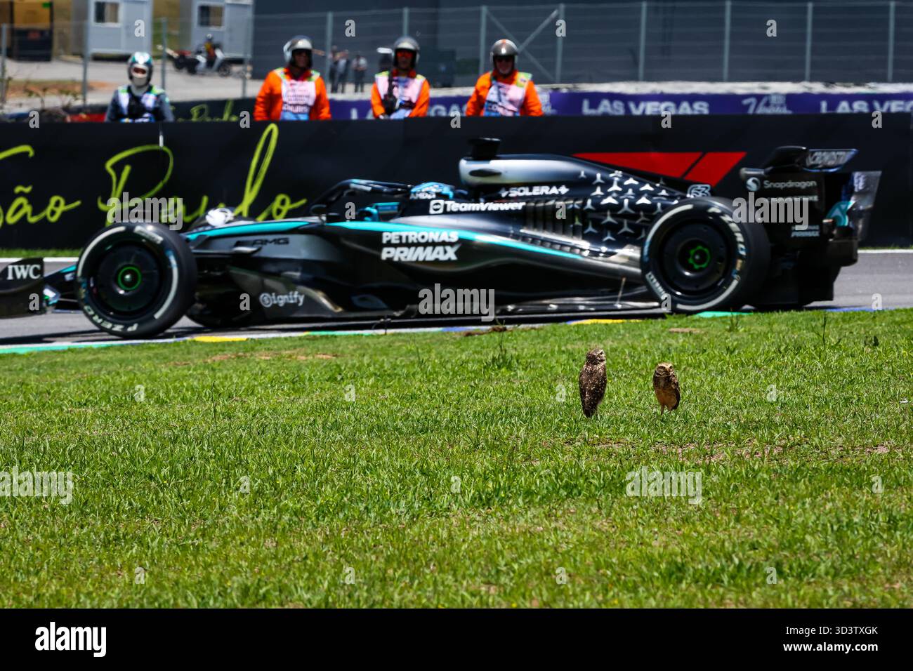 Owl during the 2025 Formula 1 Grande Premio de Sao Paulo, 2025 Sao ...