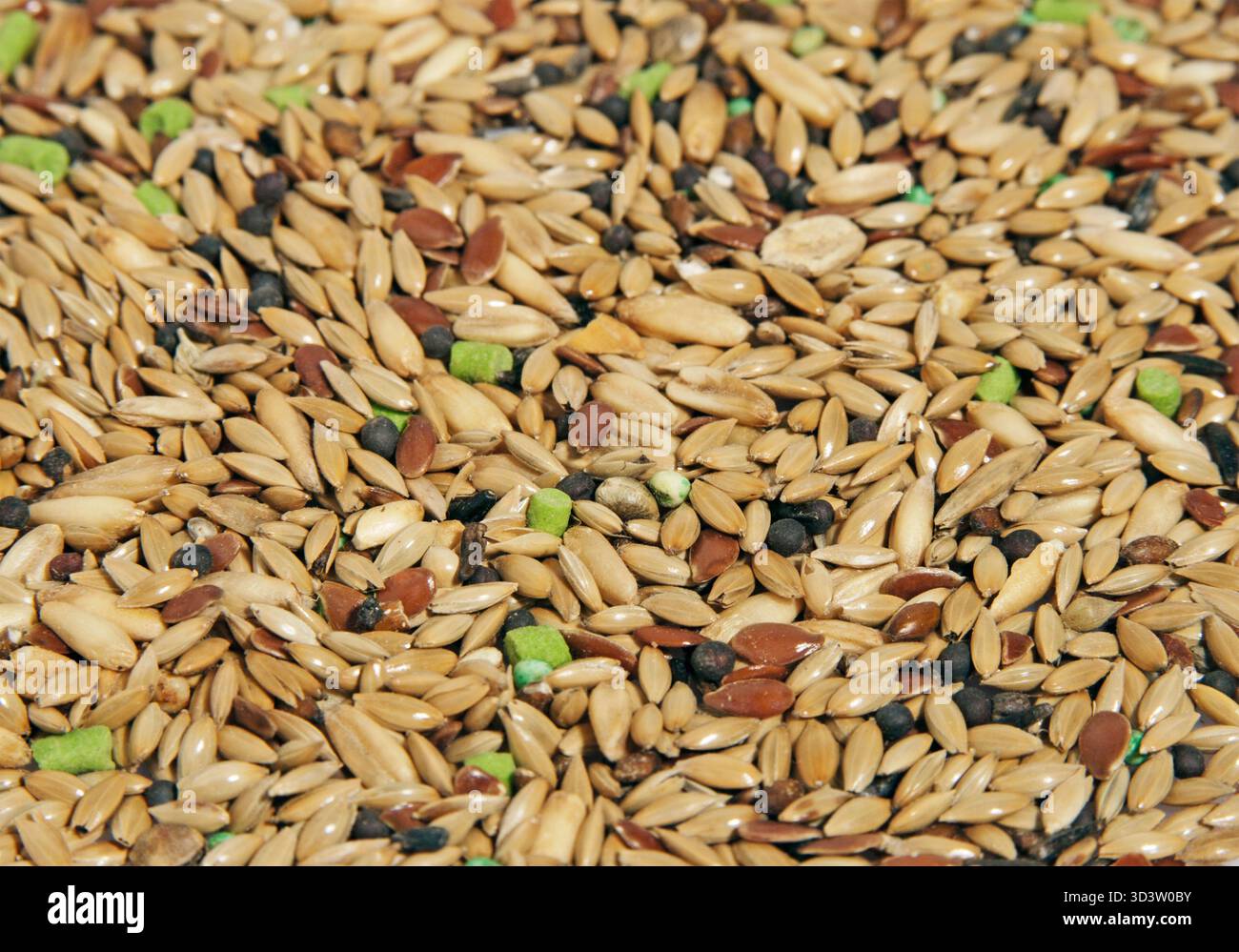 mixed birds seeds Stock Photo - Alamy