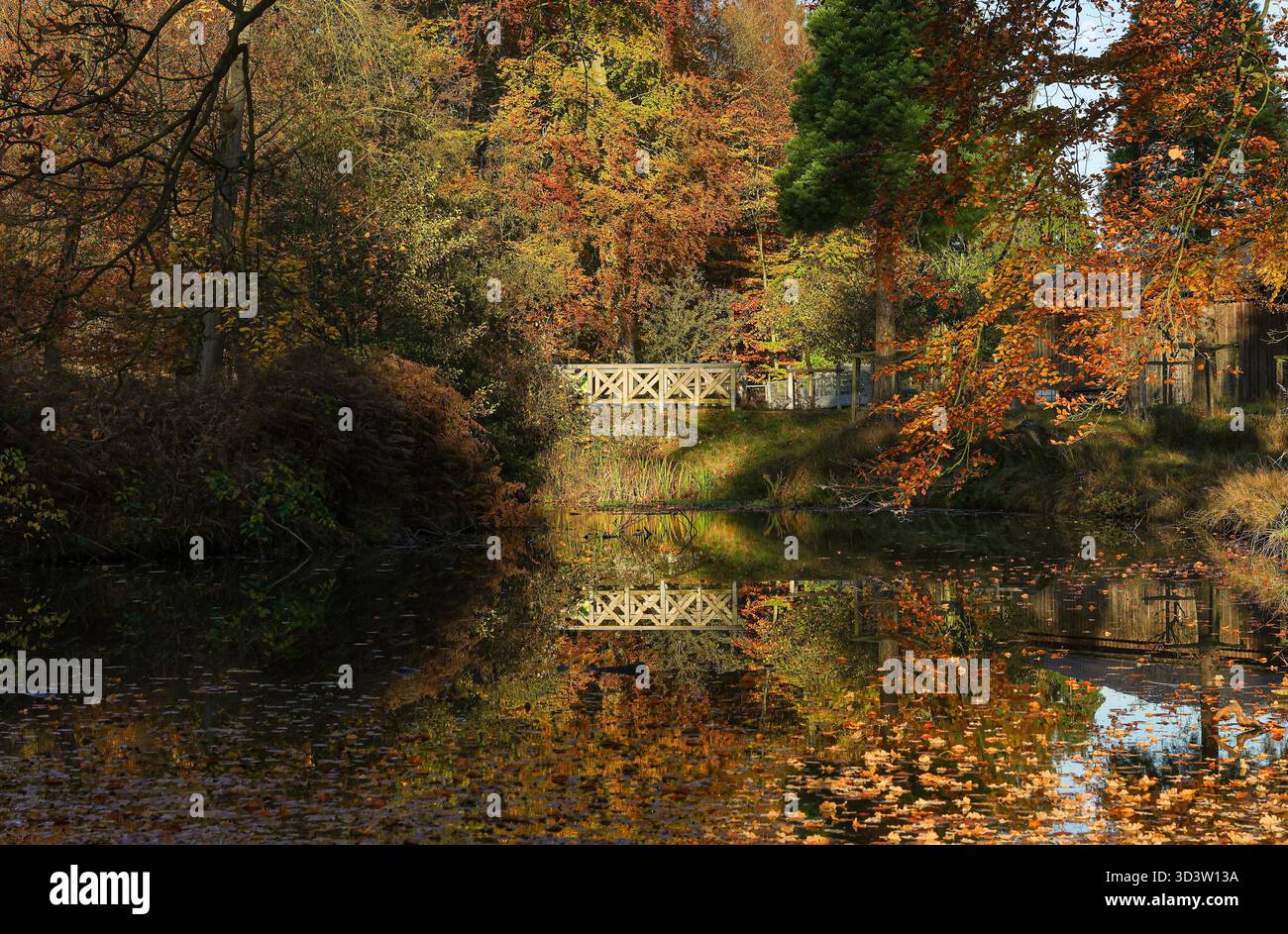 firo: 07.11.2025 Landscape Weather image Munsterland Autumn Wildlife ...