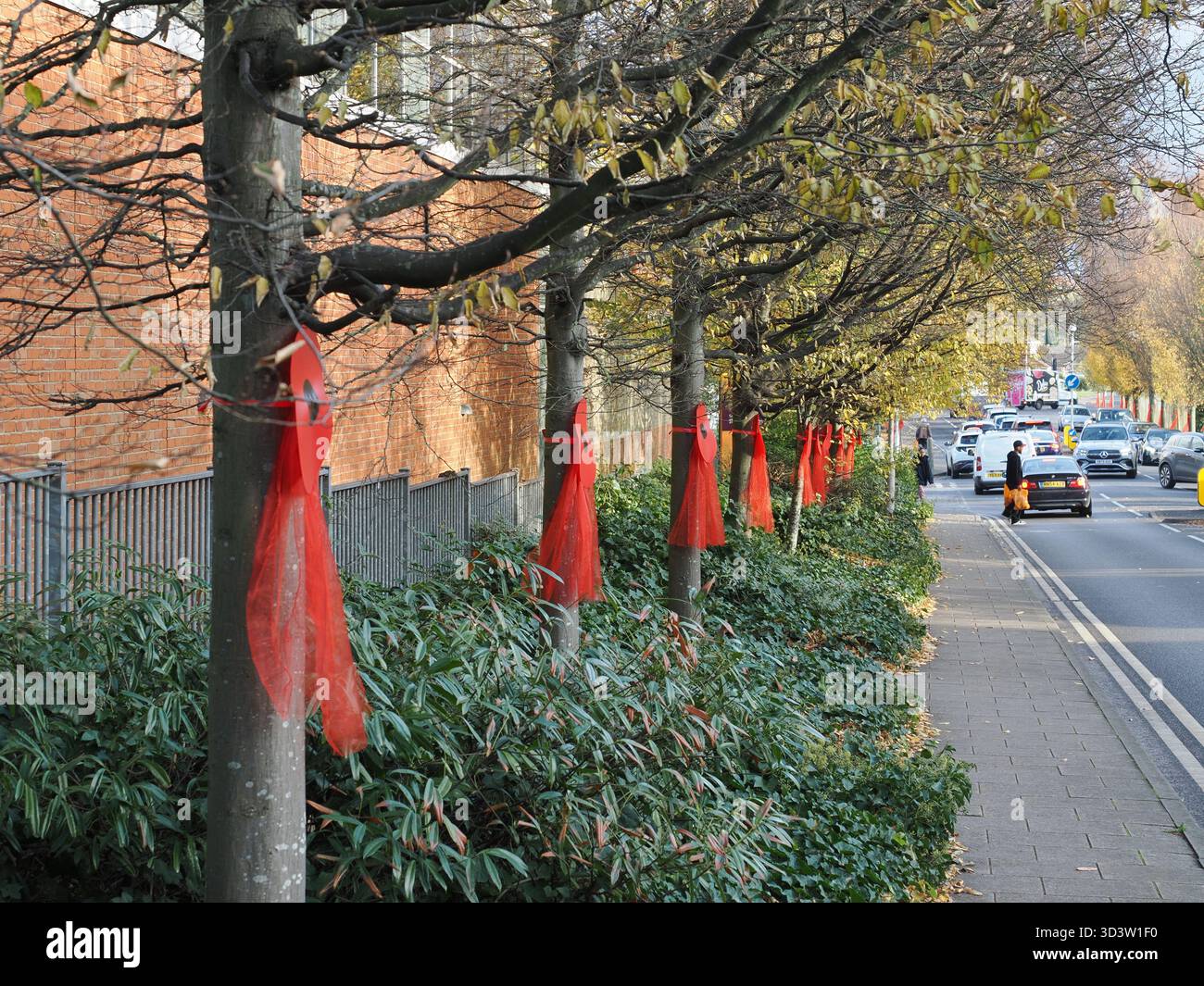 Sittingbourne, Kent, UK. 7th Nov, 2025. Remembrance poppy display along ...