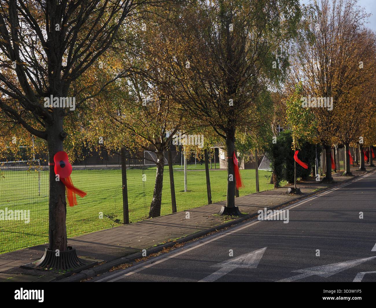 Sittingbourne, Kent, UK. 7th Nov, 2025. Remembrance poppy display along ...