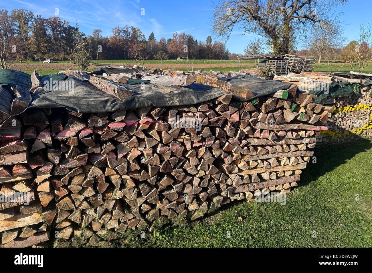 Brennholz,gestapelte Holzscheite,Holz,Holzstuecke, *** Firewood ...