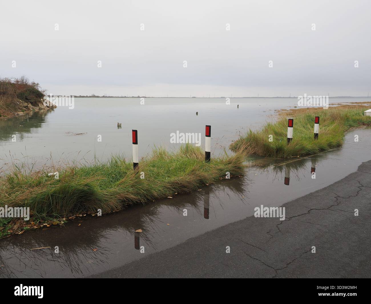 Iwade, Kent, UK. 7th Nov, 2025. UK Weather: surge high water at Iwade ...