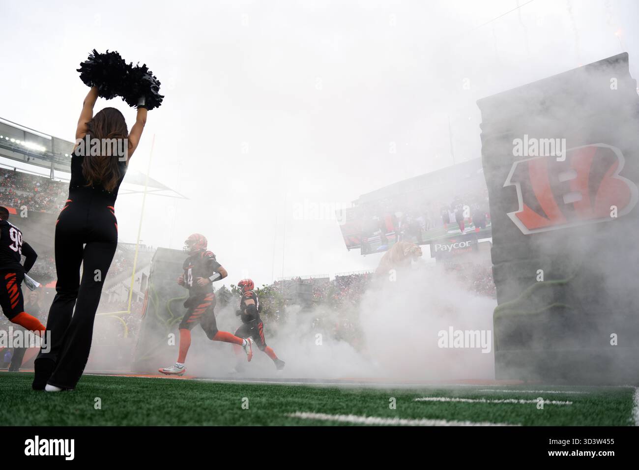 The Cincinnati Bengals defense takes the field during an NFL football ...