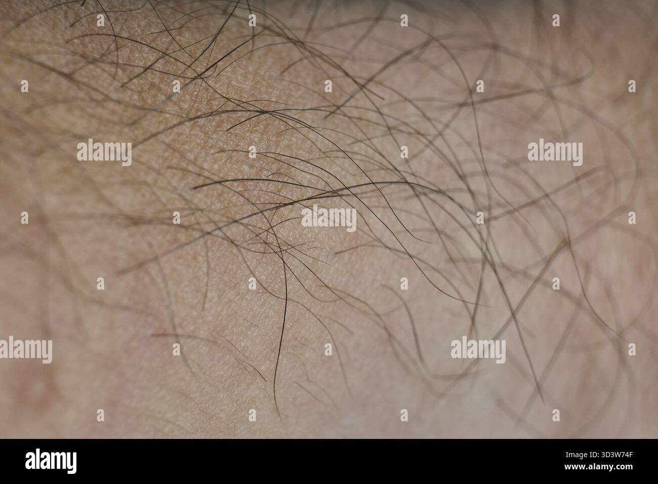 Detailed look at fine hair on human skin surface Stock Photo - Alamy