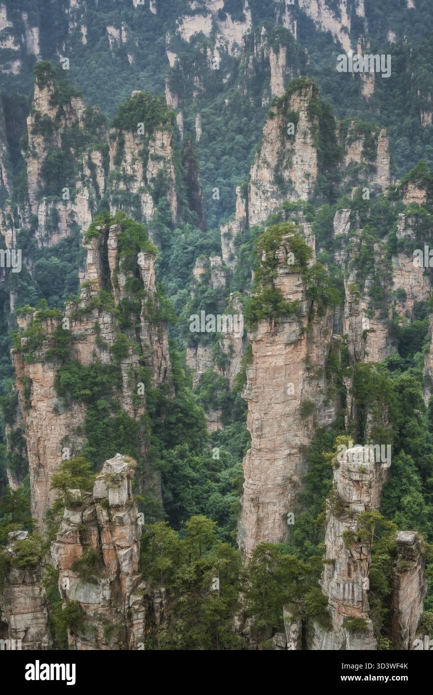 Stunning rock pillars of the tianzi mountain range, Avatar mountains ...