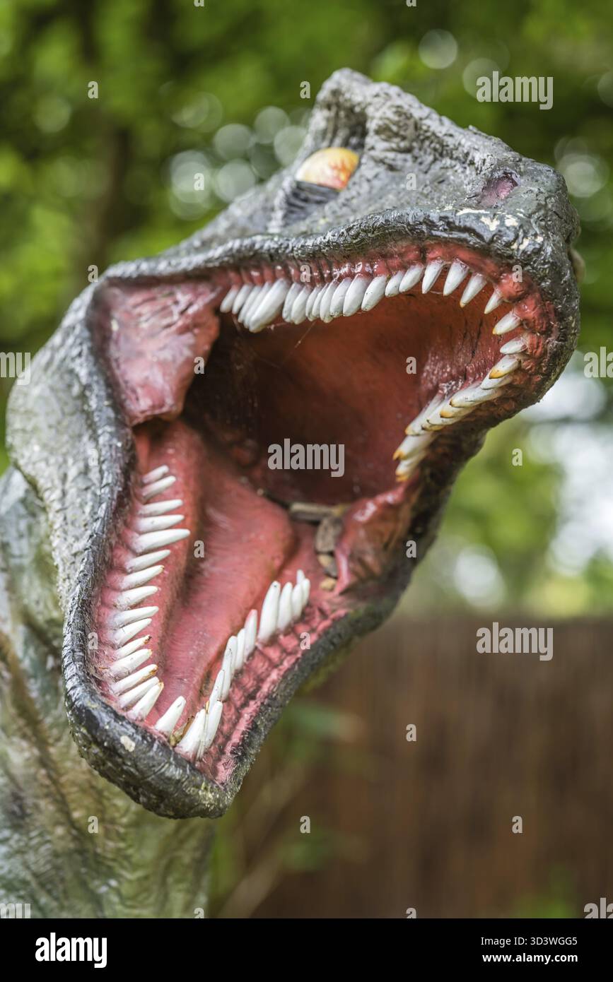 Sharp teeth in an open mouth of a Velociraptor dinosaur statue Stock ...