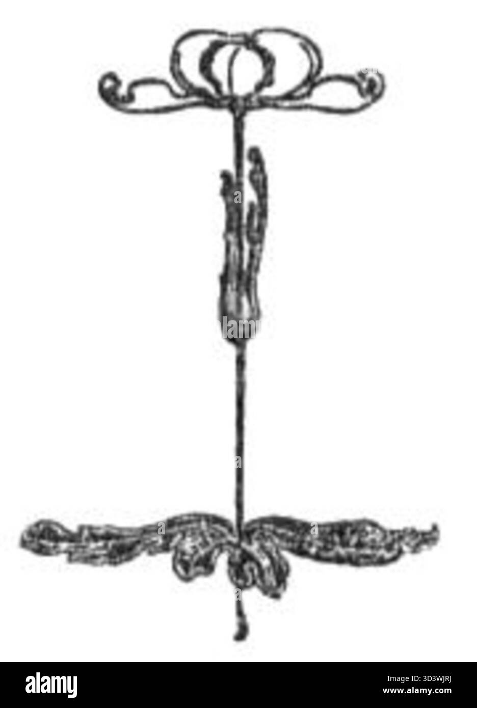 Decorations inspiration Black and White Stock Photos & Images - Alamy