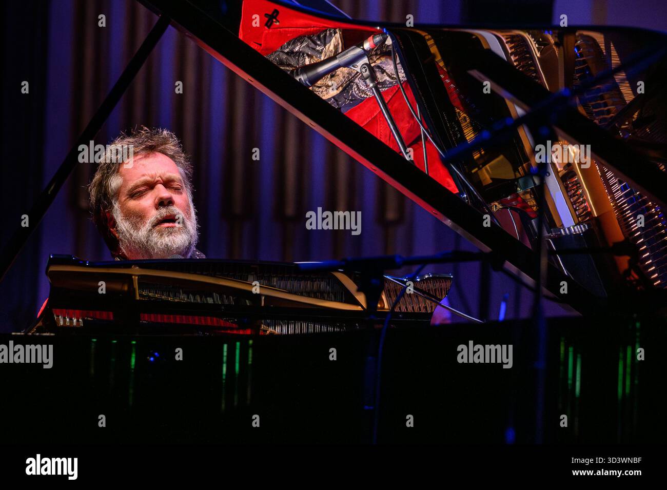 Rufus Wainwright Usher Hall Stock Photo - Alamy