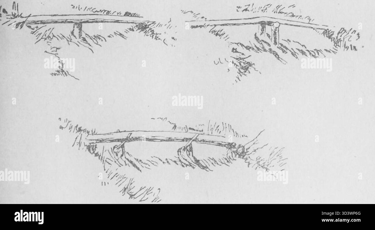 Detailed landscape illustration features Black and White Stock Photos ...