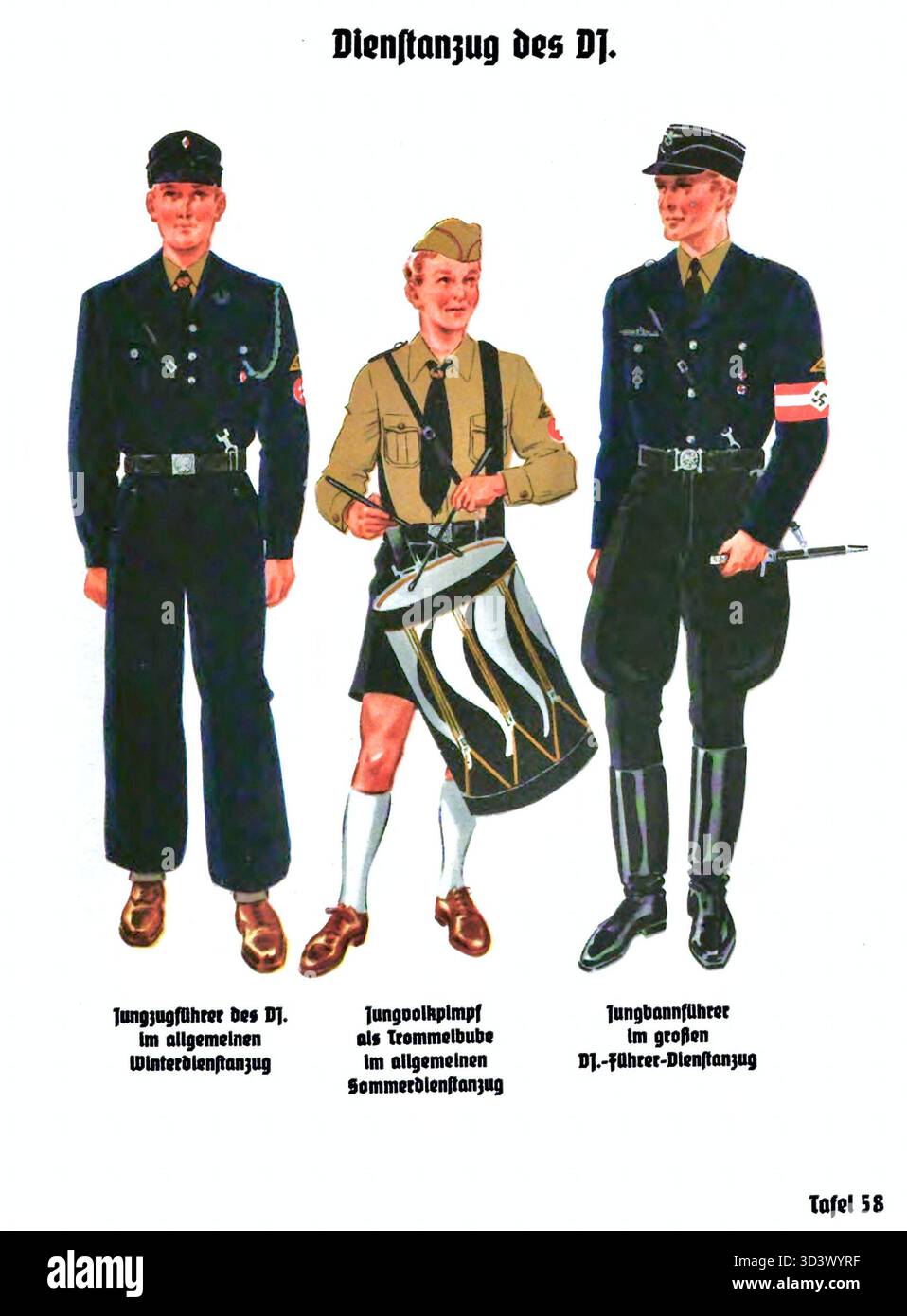 The 1938 *Organisationsbuch der NSDAP* includes a depiction of the ...