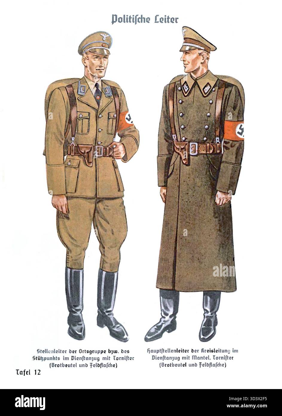 Roles within Cut Out Stock Images & Pictures - Alamy